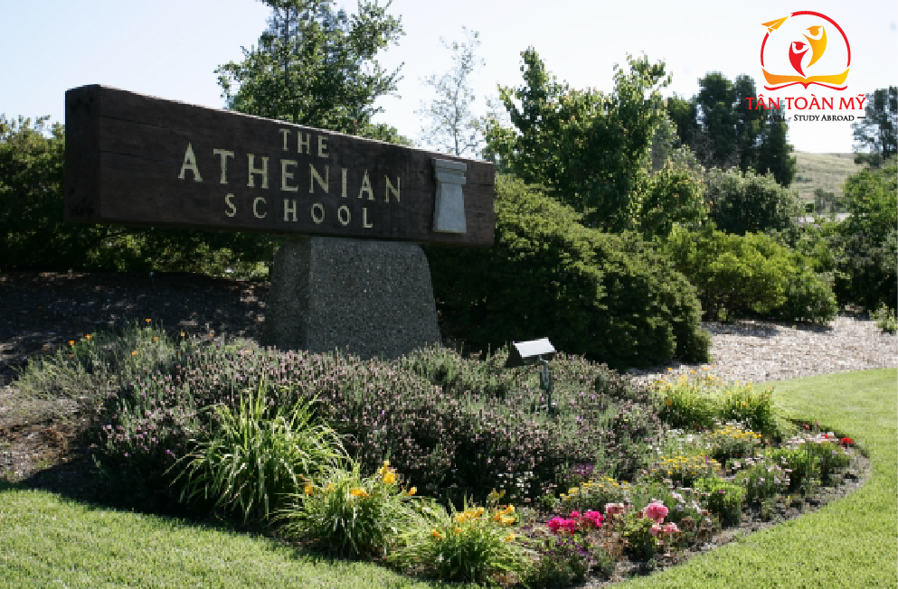 Trường THPT The Athenian School » Wings JSC | Dịch Vụ Tư Vấn Du Học Hàn Quốc | Du Học Nhật Bản